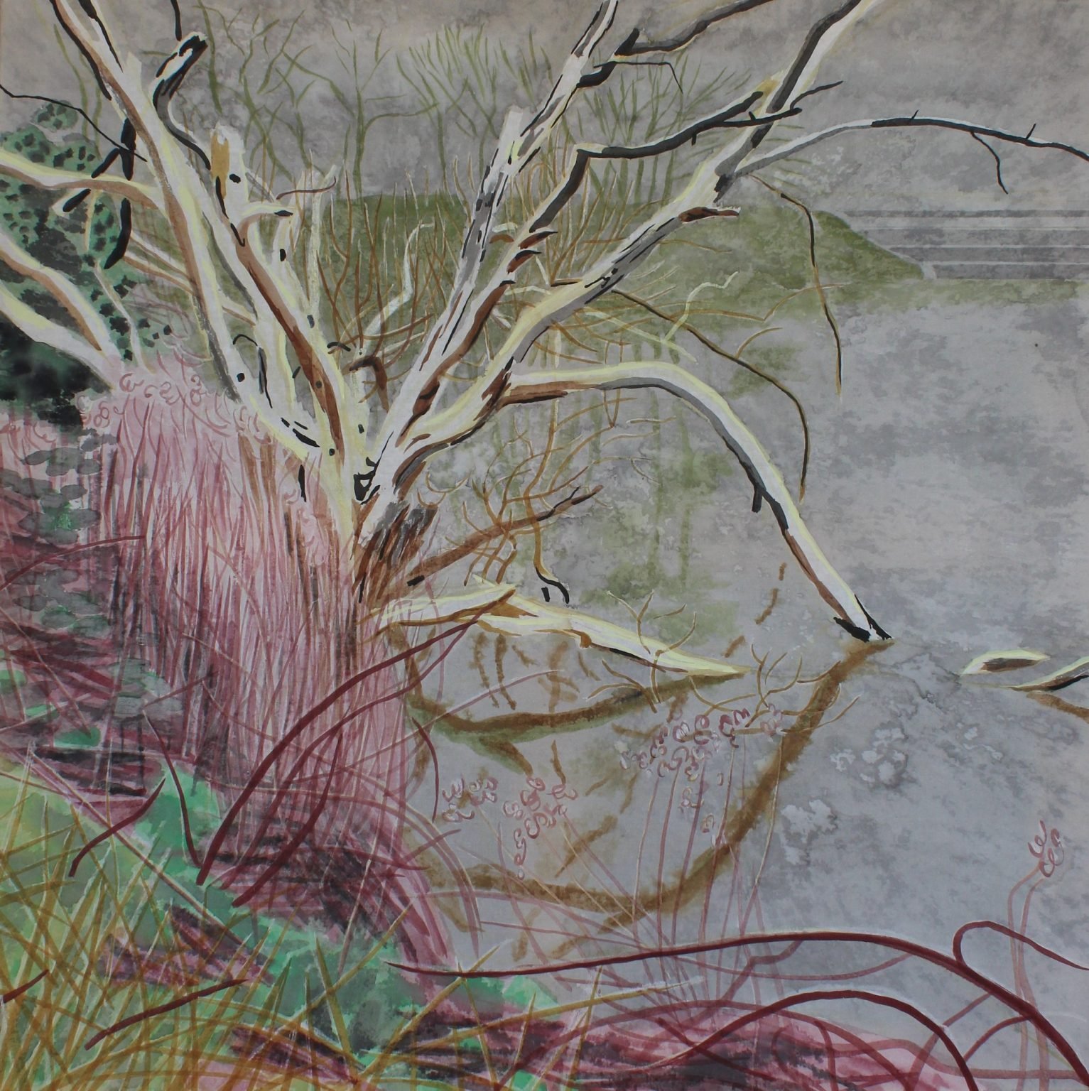 Dominic Madden | Fallen Tree | HAYLOFT