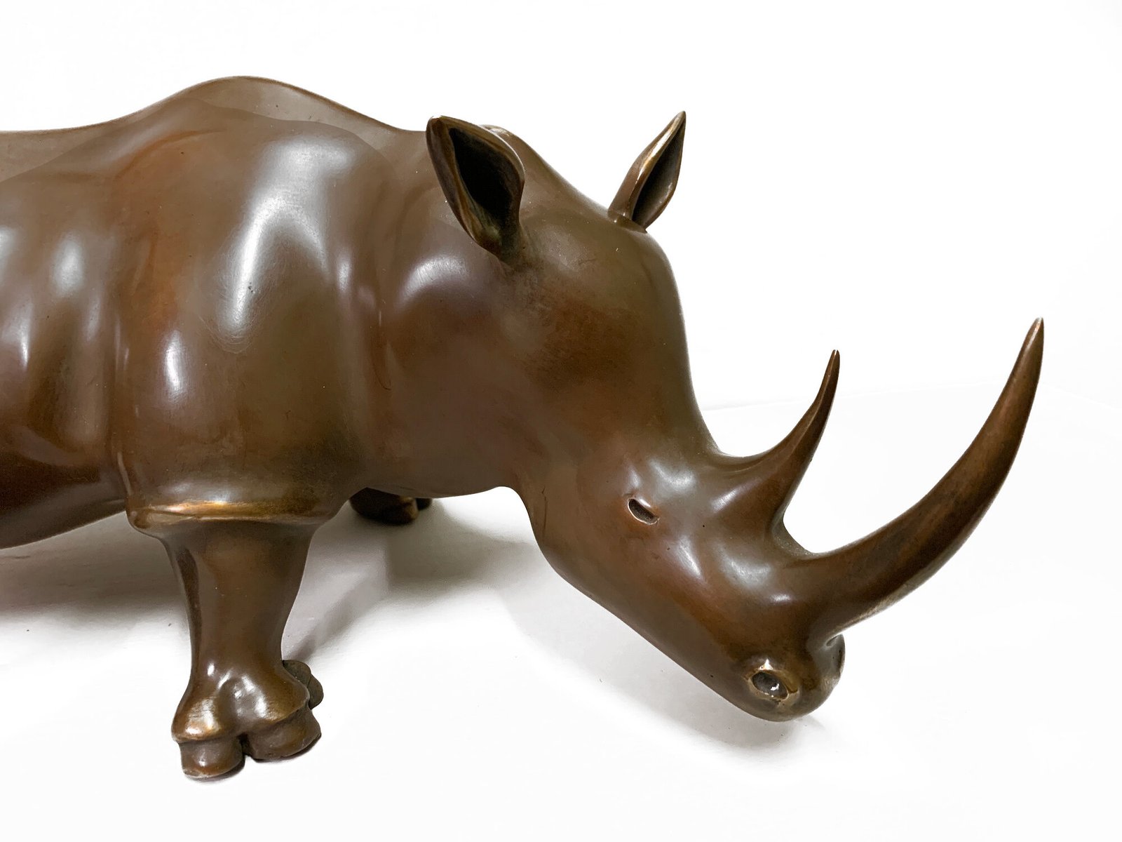 Neil Mason | Rhino | HAYLOFT